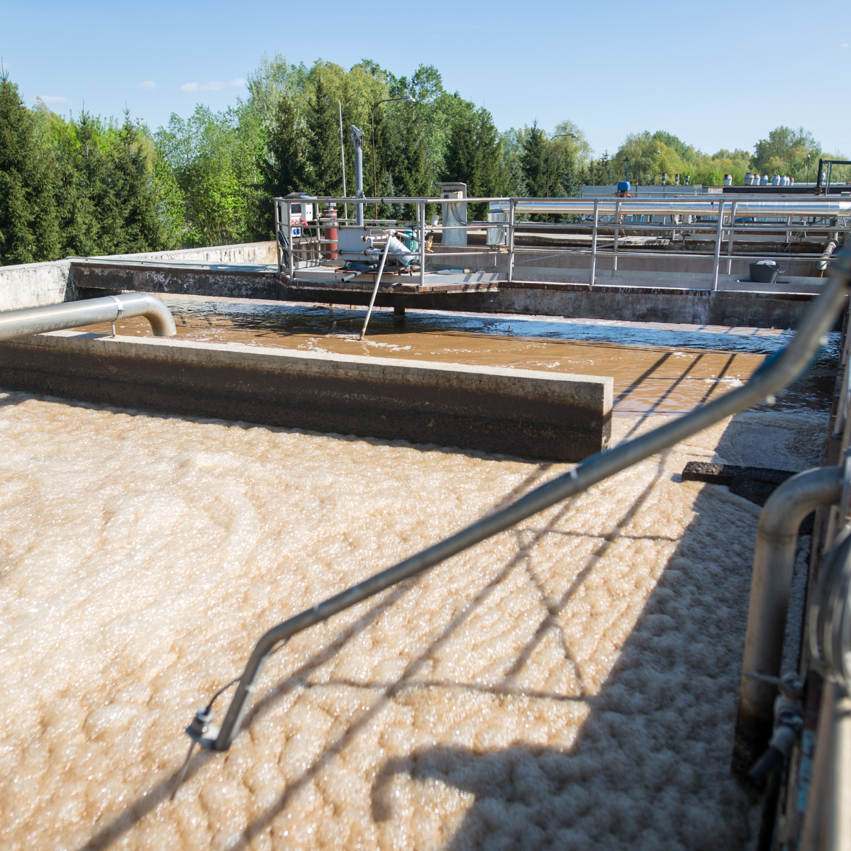 Wastewater FOG - Ultra-Archaea